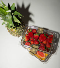 Picnic Containers – Modern Picnic